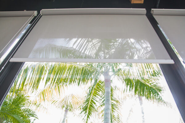 Creating Relaxing Spaces with Dual Roller Blinds